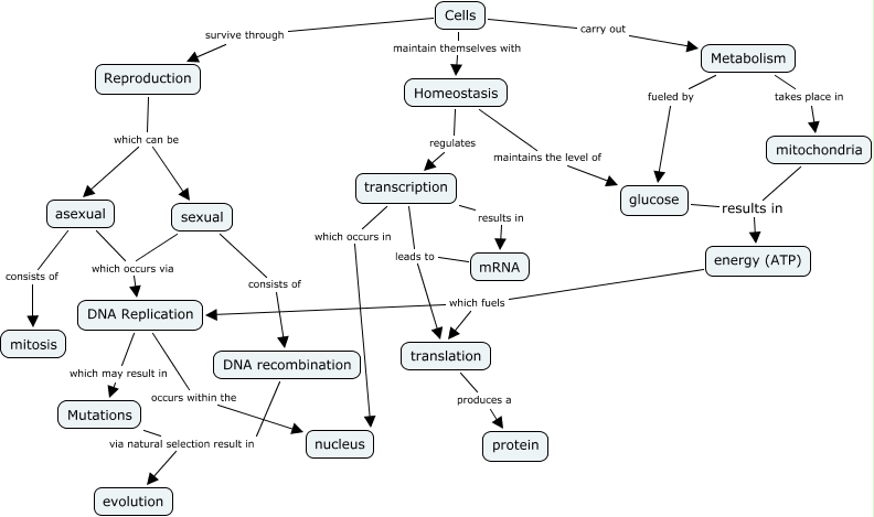 Sample Cmap - What are the features of a cell?